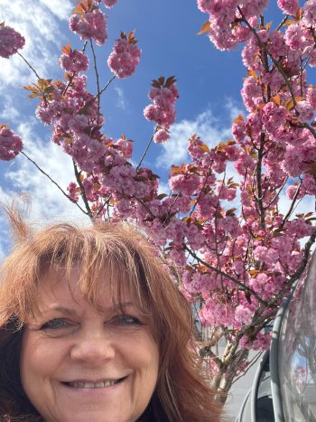 A fabulous group in Devon, and a sneaky bit of wonderful weather ...