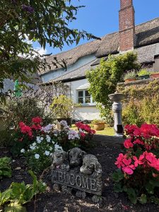 Hot Devon days and sneaky peeks! - Debbie Flint